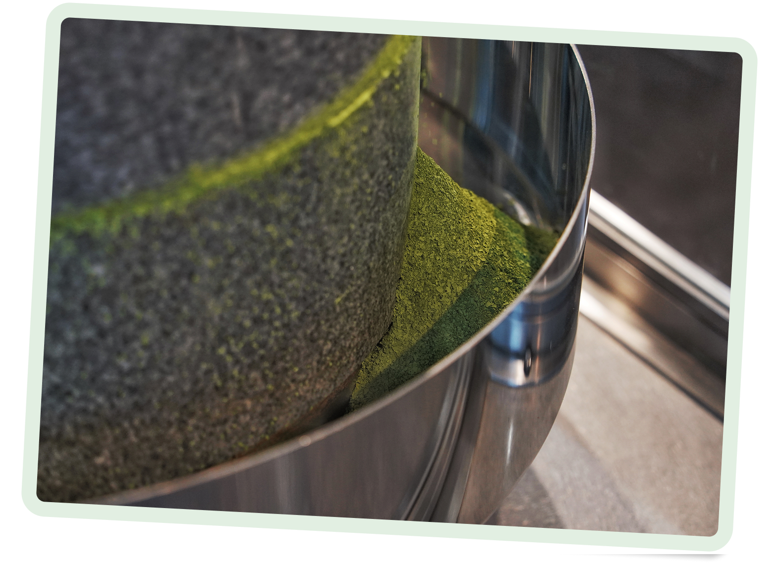 Sales page – Earth Energy Supplements